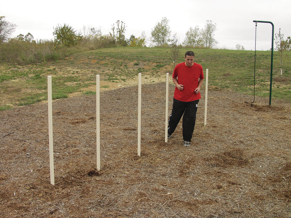 Sports Play Agility Poles Fitness Unit - NJ Swingsets